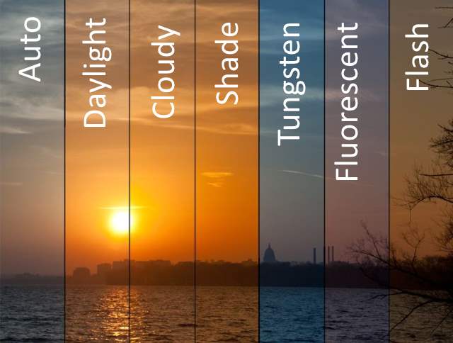 It’s A Balancing Act – Understanding and Using White Balance – Digital ...